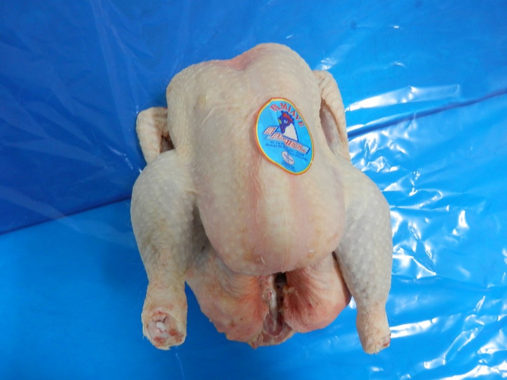 Gallina Avicola sanchez - Avícola Sánchez