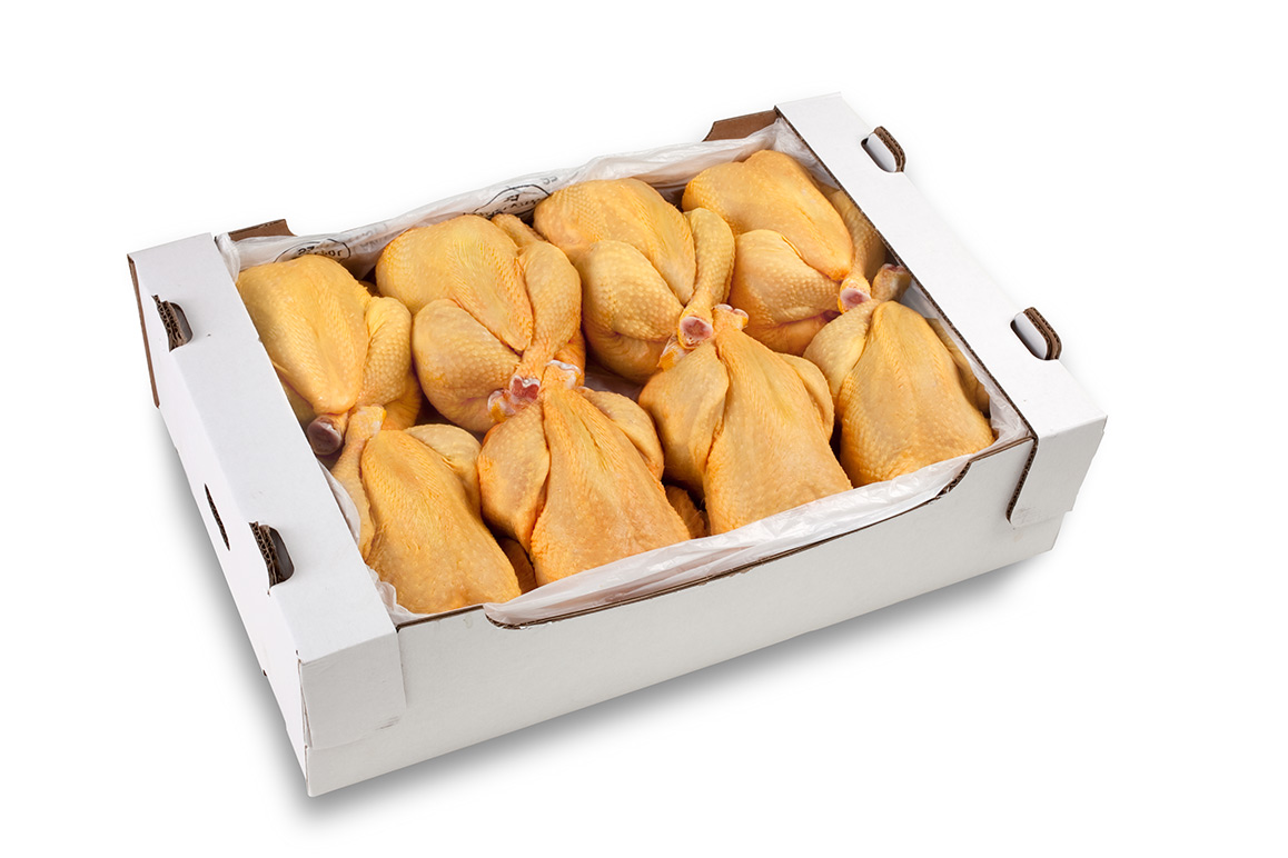 caja-pollo-amarillo-avicolasánchez - Avícola Sánchez